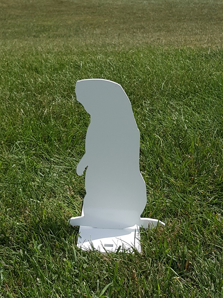 Groundhog Standing - Quinn Steel