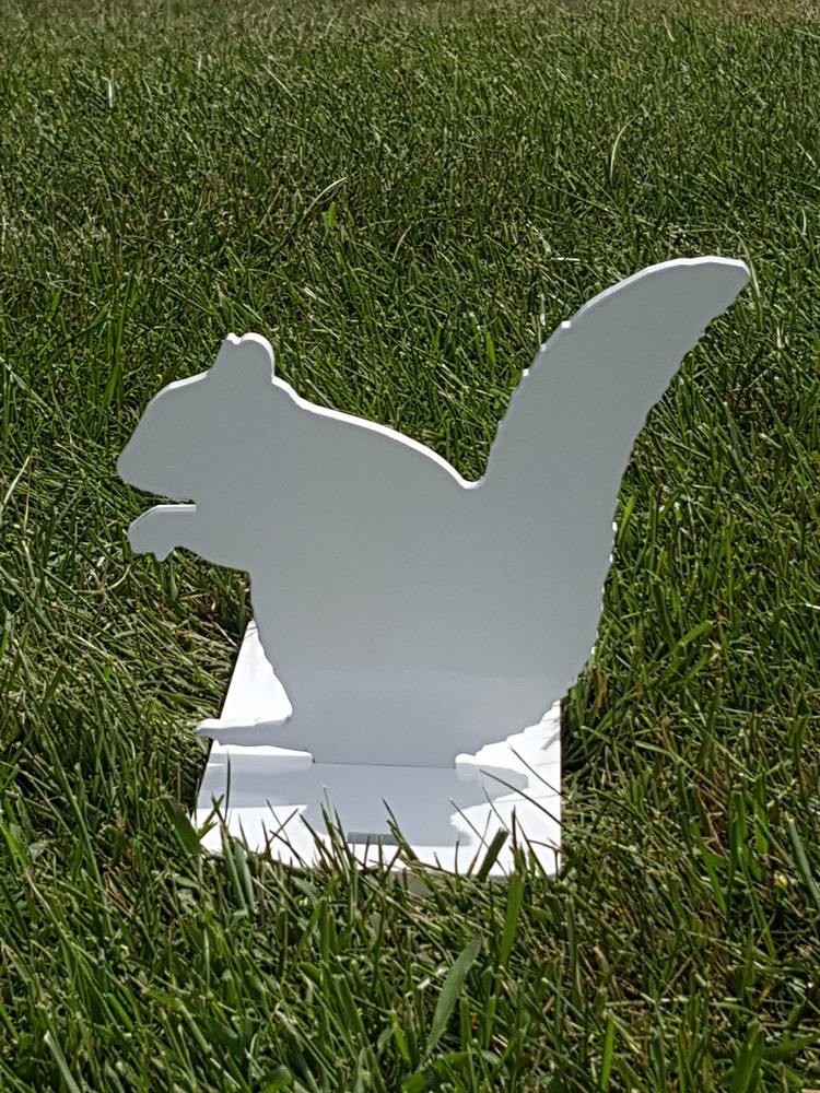 Squirrel - Quinn Steel